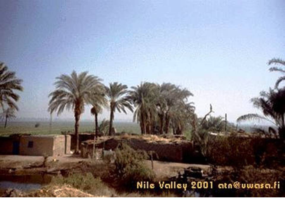 Coptic Easter and A Feast in Rural Egypt – Recipes Included – MMM ...