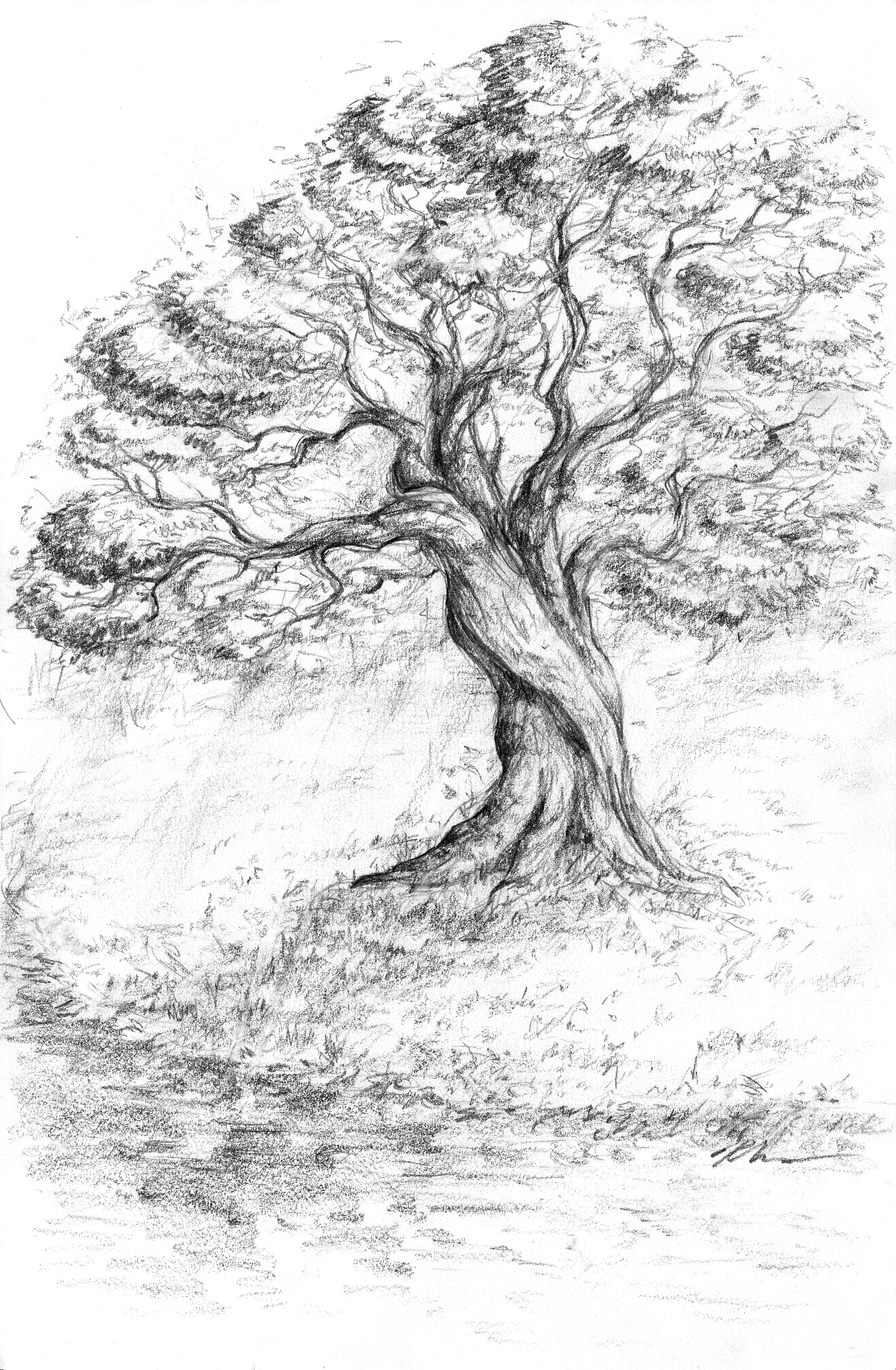 psalm1tree – Missional Thoughts and Theology